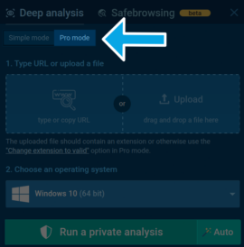 A Guide to Malware Analysis with a Sandbox