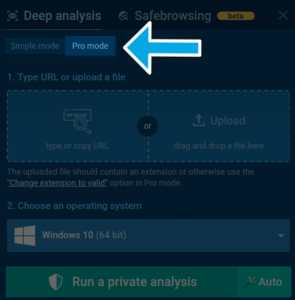 A Guide to Malware Analysis with a Sandbox