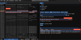 Analysis of Malware Protected with Themida and VMprotect