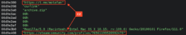 Analysis of Malware Protected with Themida and VMprotect