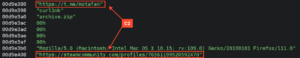 Analysis of Malware Protected with Themida and VMprotect