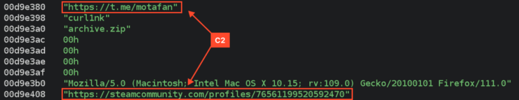 Analysis of Malware Protected with Themida and VMprotect